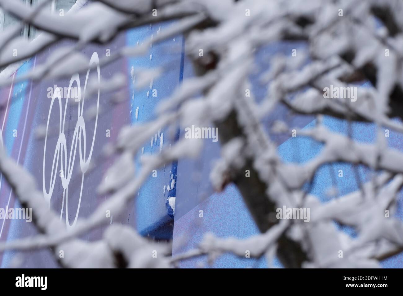 Olympic rings are seen through snow-covered branches during an alpine ...