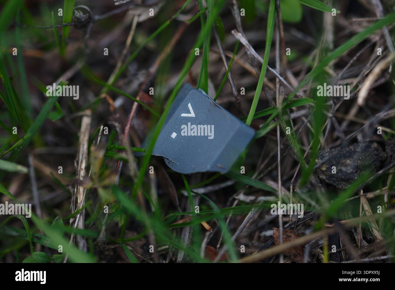 Plastic fragment in grass hi-res stock photography and images - Alamy