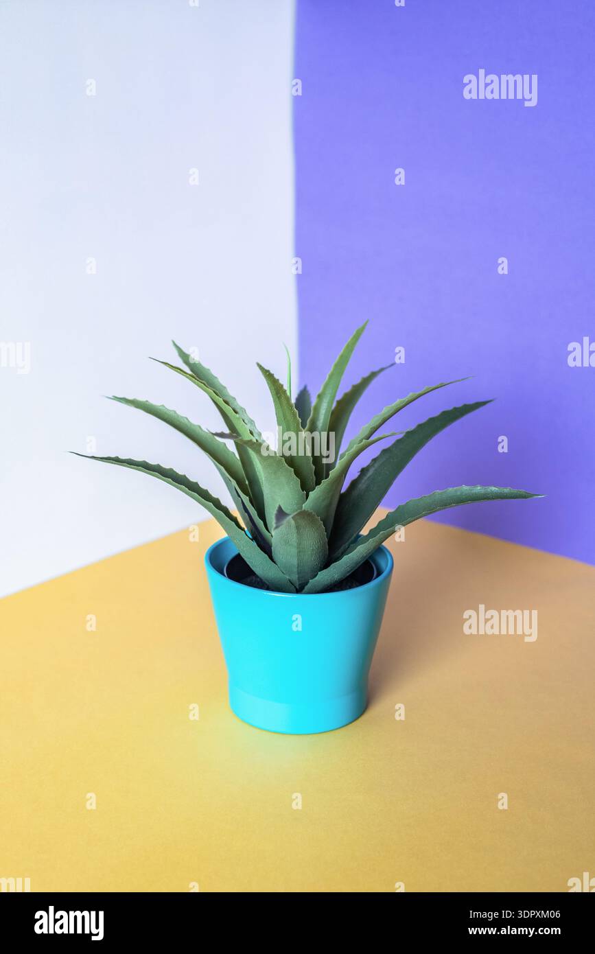 Contrasting colors enhance hi-res stock photography and images - Alamy