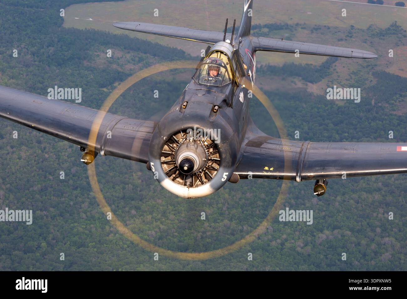 Air-to-air view of a restored Douglas SBD-5 Dauntless, registration ...