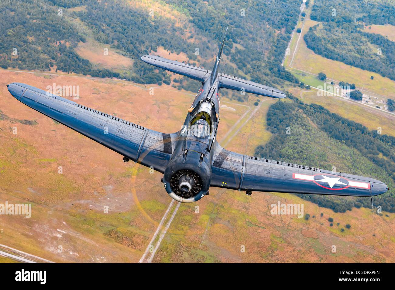 Close-up air-to-air view of Douglas SBD-5 Dauntless dive bomber, N82GA ...