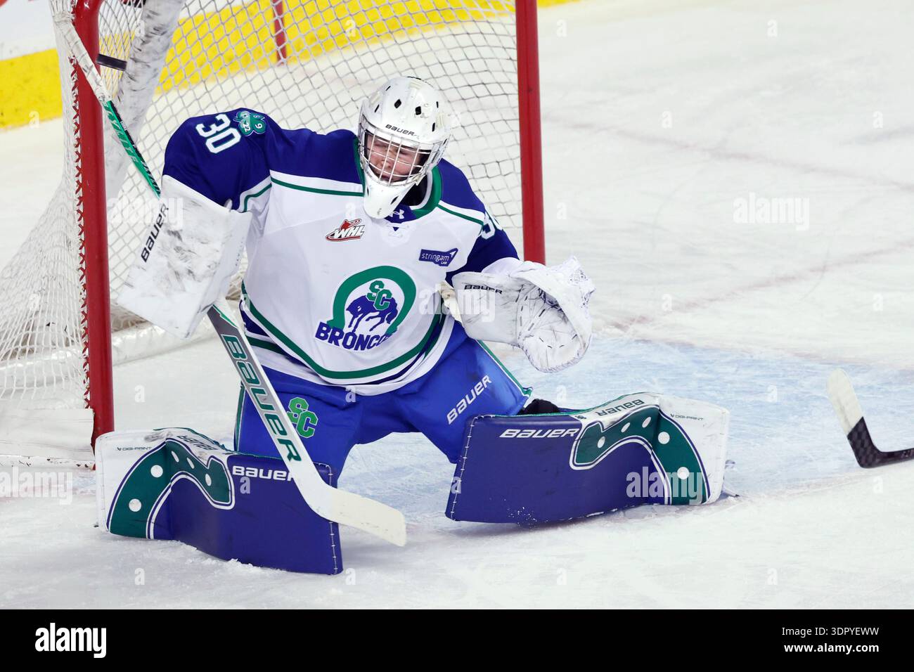 Profile photo on Swift Current Broncos goalie Archer Cooke during WHL ...