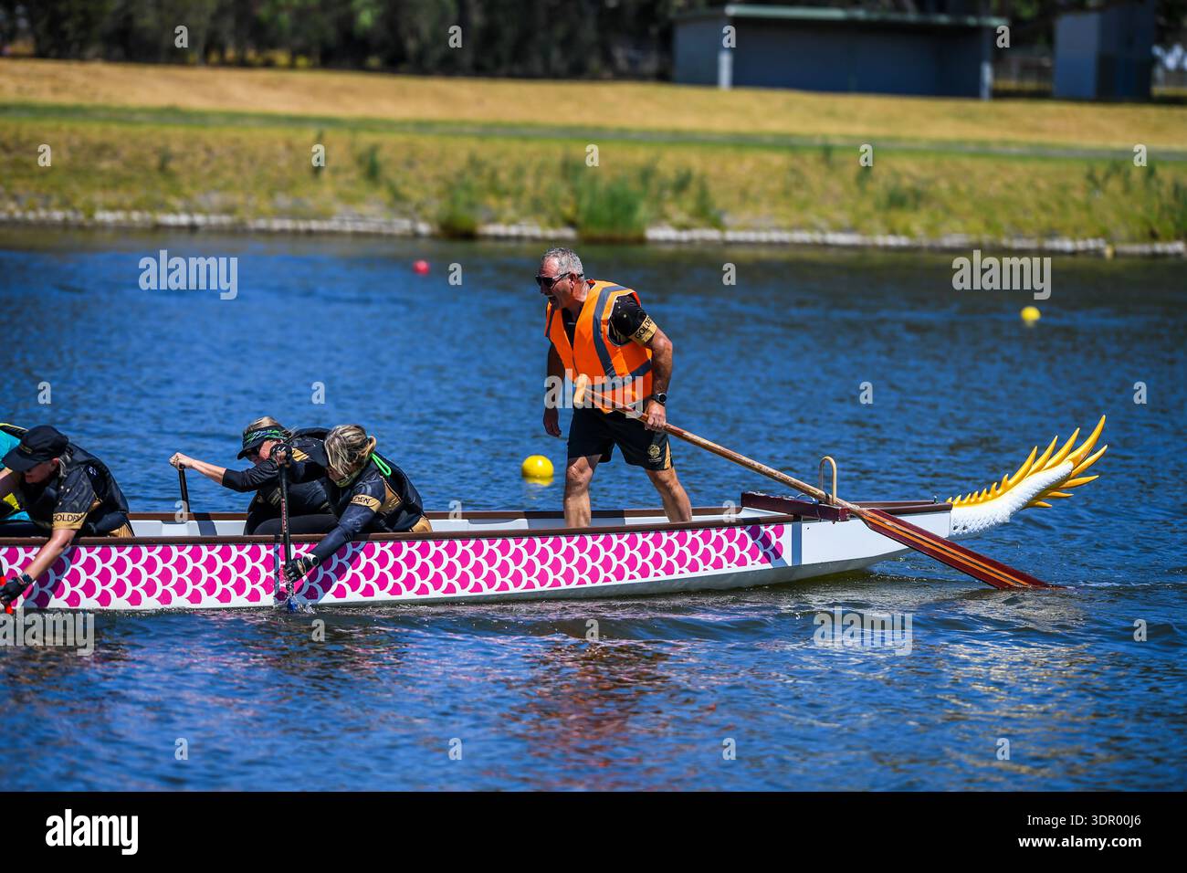 Geelong, Australia. 15th Feb, 2026. Rowers and steerer at the back of ...