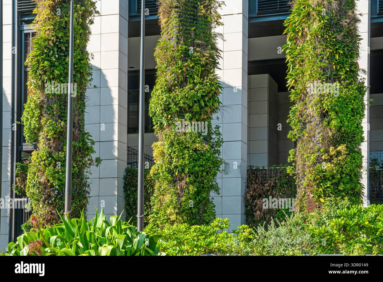 Vertical garden columns on modern building facade with lush greenery in ...