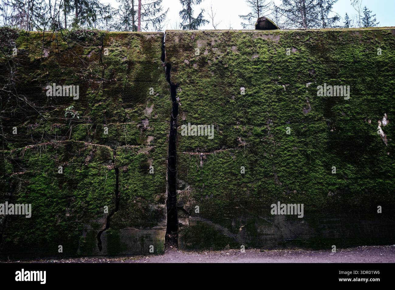 A close-up detail of a massive reinforced concrete bunker wall at the ...