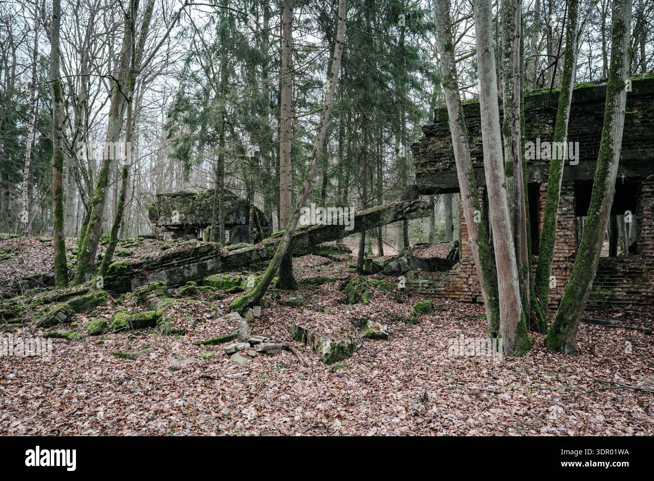 Fragmented remains of reinforced concrete bunkers and fortifications at ...