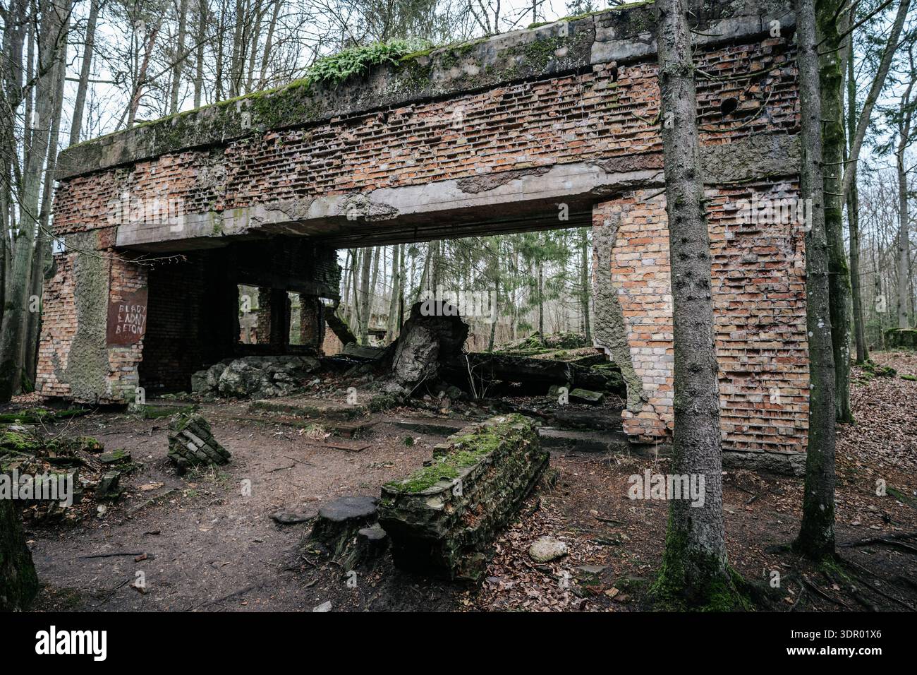 A view of the ruins of Bunker number 8 at the Wolf's Lair (Wolfsschanze ...