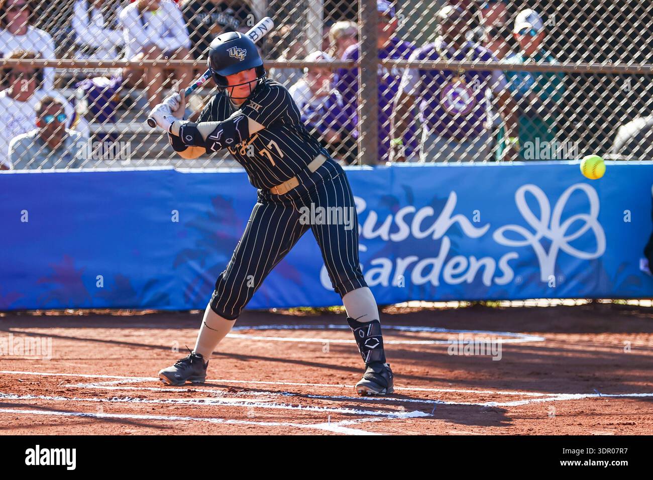 UCF Knights infielder Kendall Yarnell (77) eyes a pitch against the ...