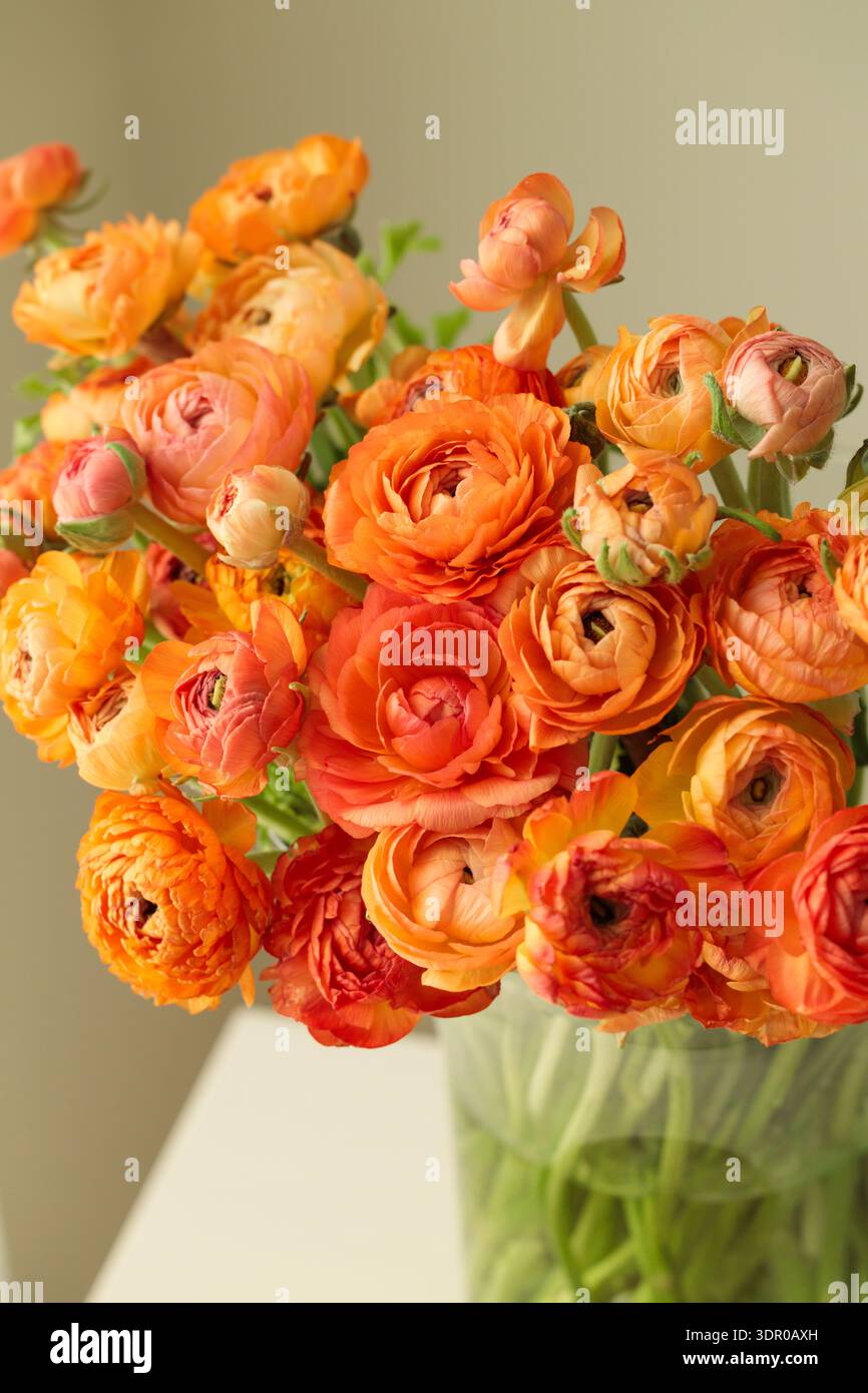 Minimalist floral styling hi-res stock photography and images - Alamy