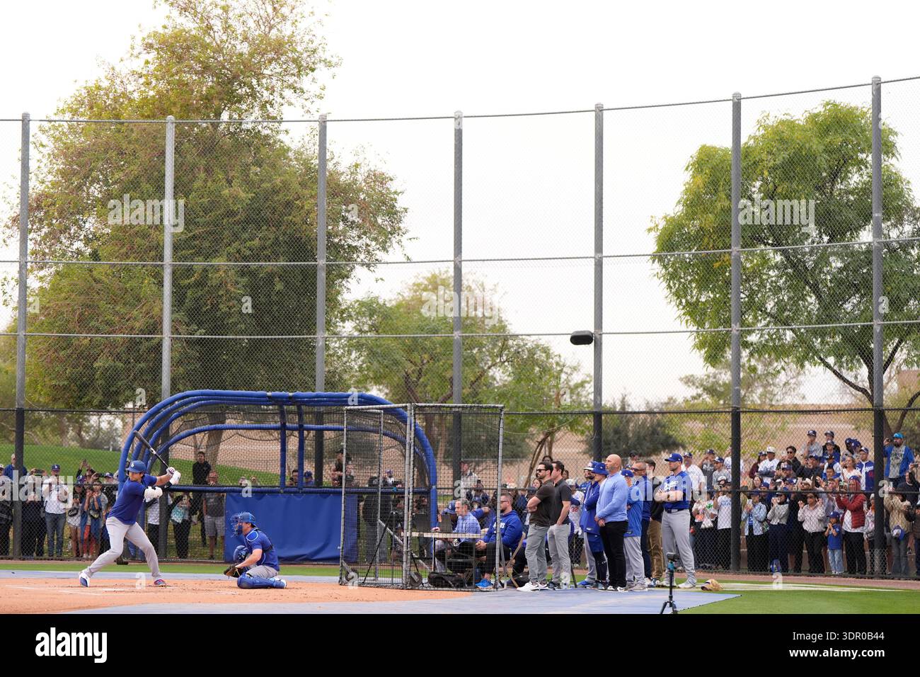 Los Angeles Dodgers' Shohei Ohtani (17) works out during spring ...