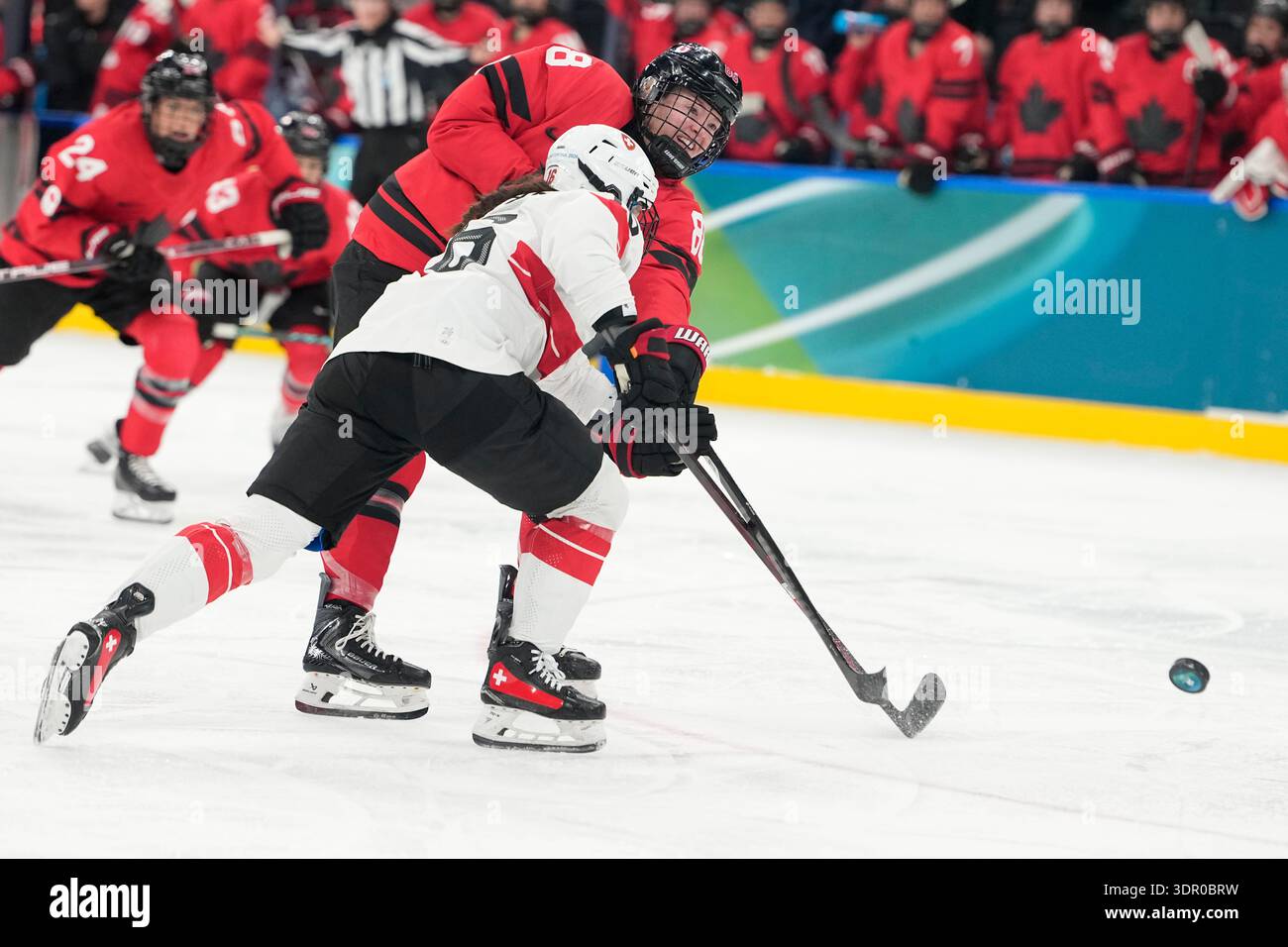 Canada's Julia Gosling (88) challenges with Switzerland's Nicole ...