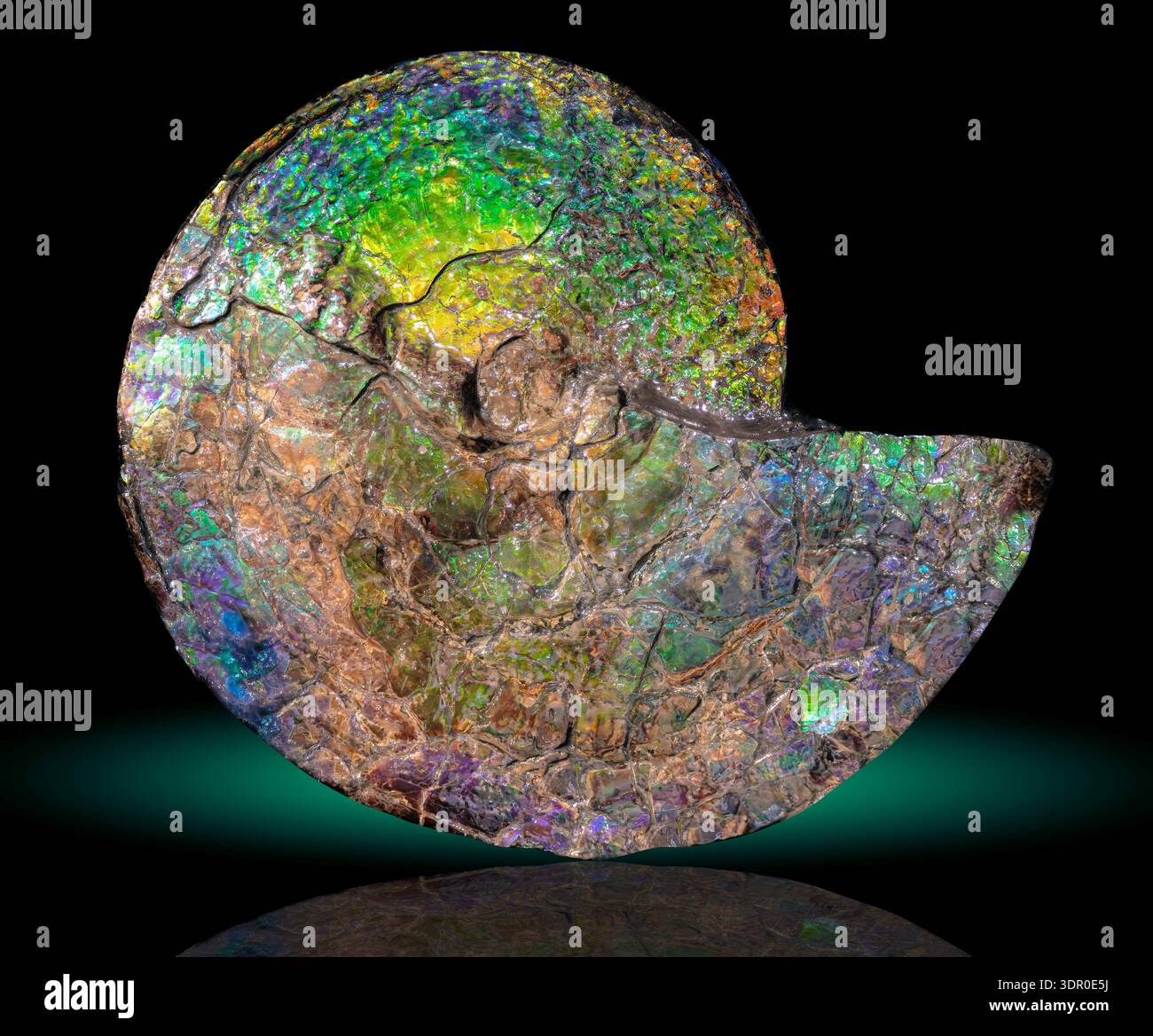 Flashes of brilliant color hi-res stock photography and images - Alamy