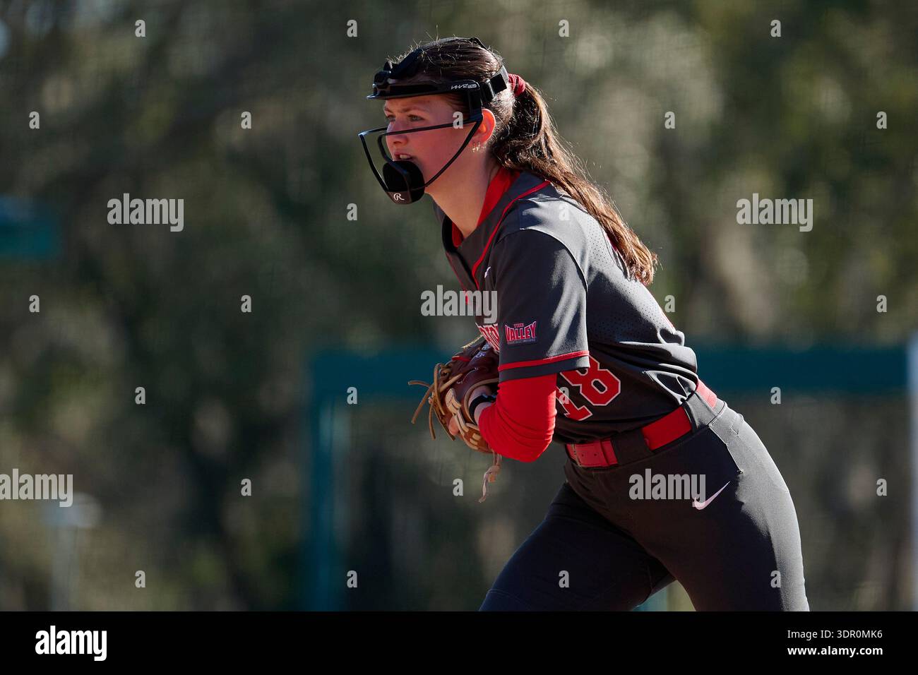 Illinois State Redbirds pitcher Hannah Meshnick (18) gets ready to ...