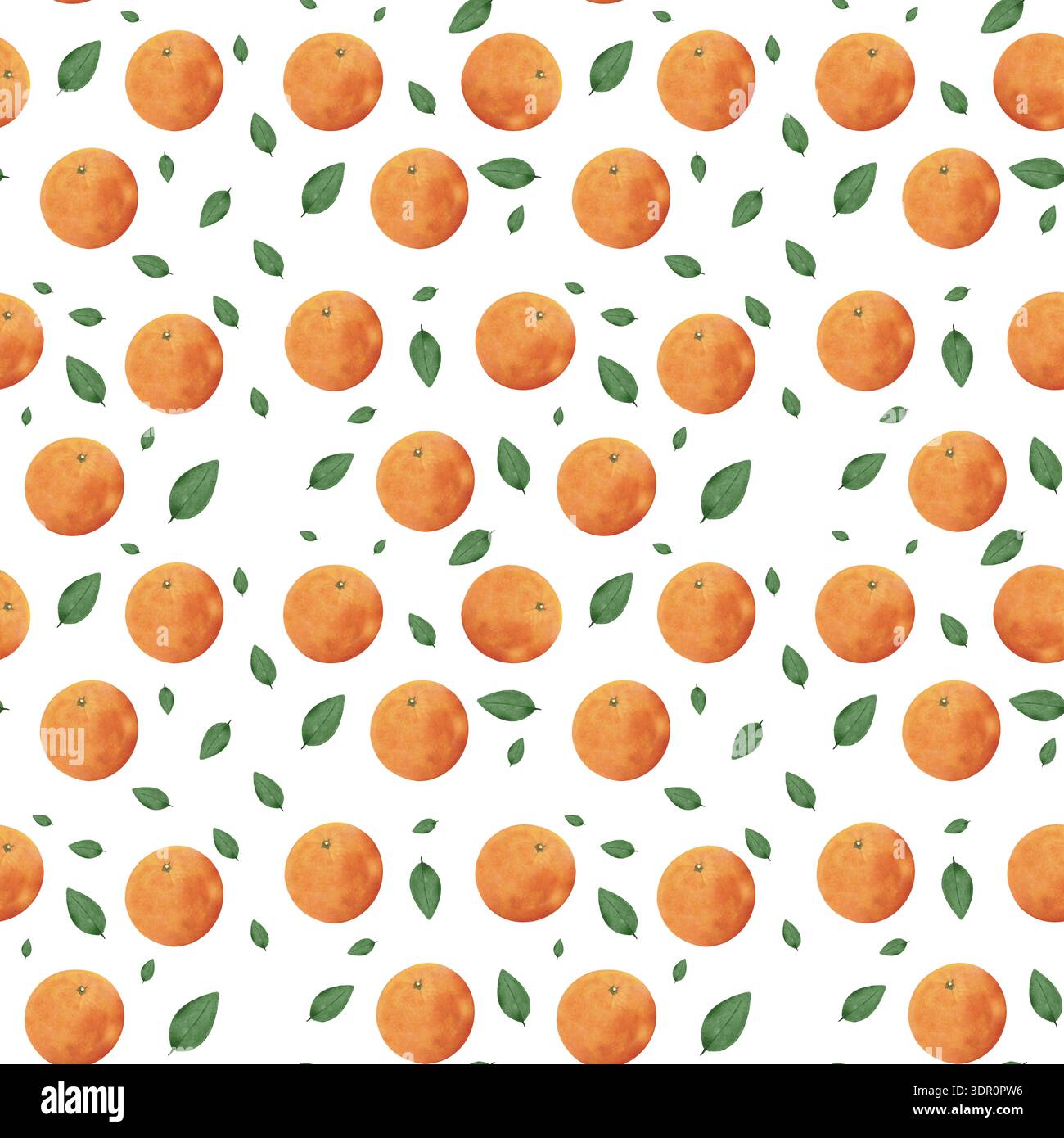 Citrus slice illustra hi-res stock photography and images - Alamy