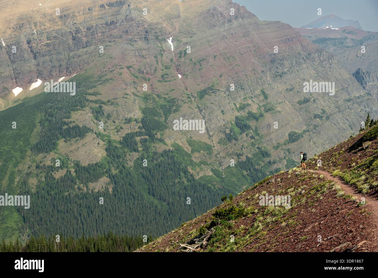 Backpacker On Ptarmigan Trail Looks Into The Valley And Elizabeth Lake ...