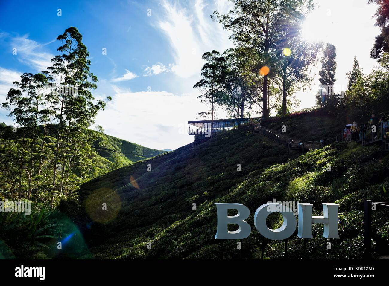 Cameron Highland, Malaysia - Jul 20, 2022: BOH Tea Plantation Scenic ...