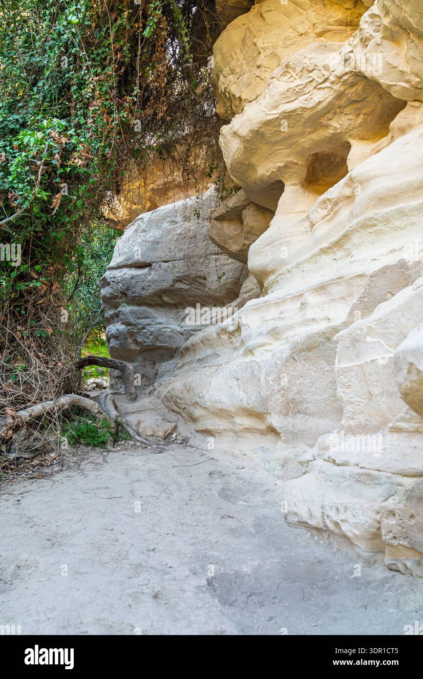 Exploring the Geological Wonders of Avakas Gorge in Paphos, Cyprus A ...