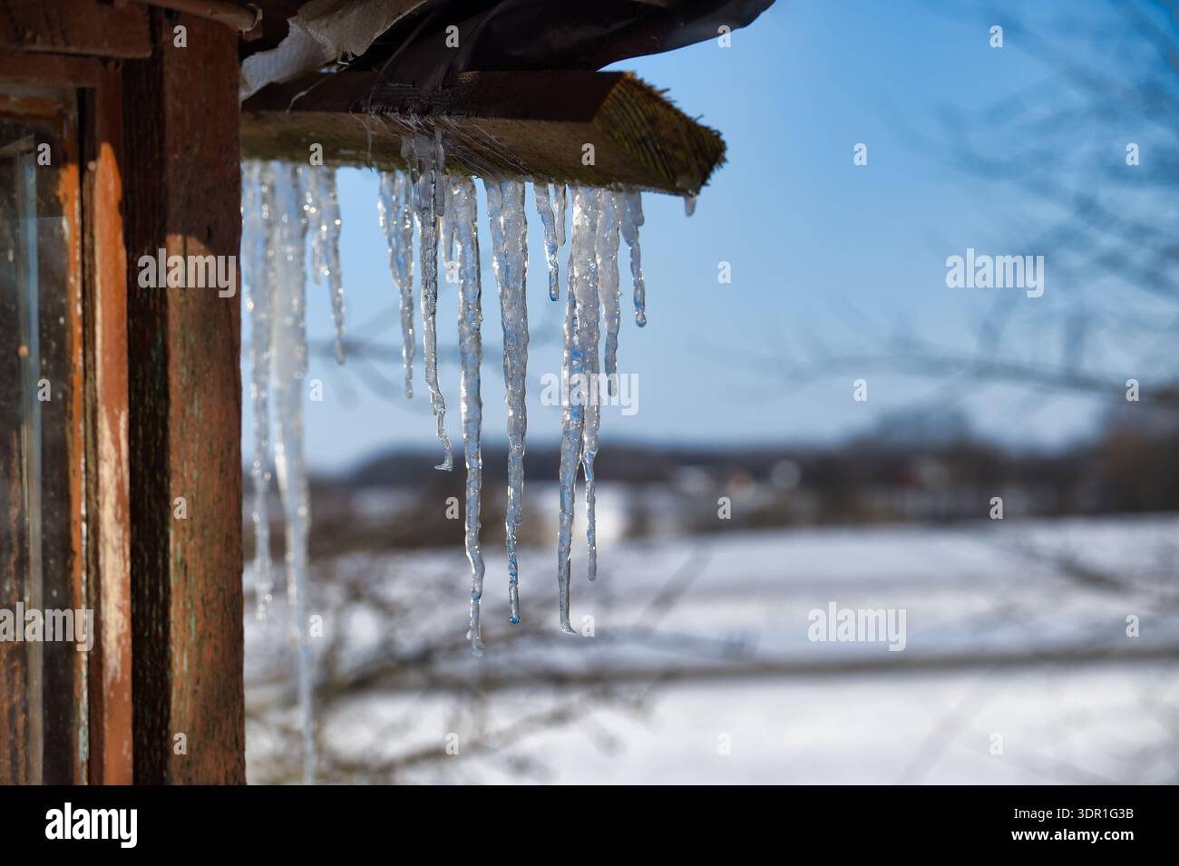 Detailed view of sharp, translucent icicles formed from melting snow ...