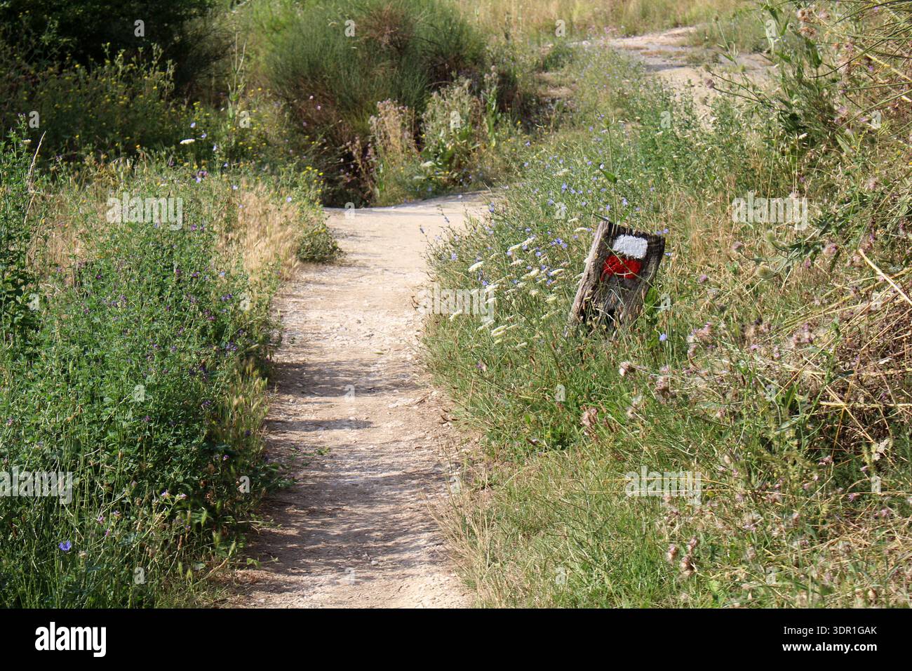 Sign post and dirt path along the Camino de Santiago toward Pamplona ...