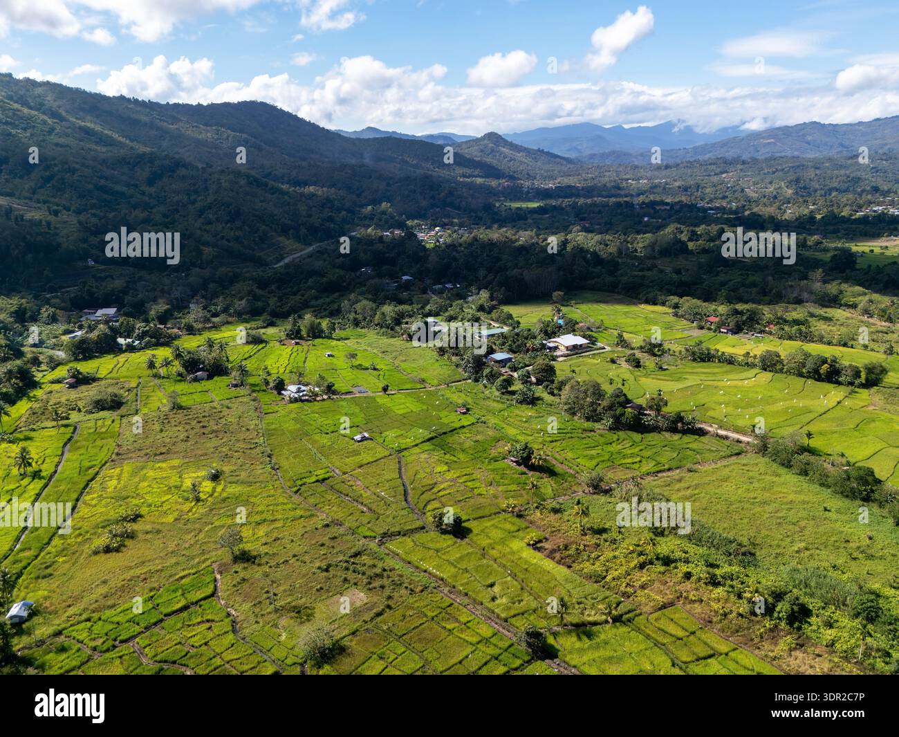 Aerial view of paddy field with Mt Kinabalu view in Ranau Sabah ...