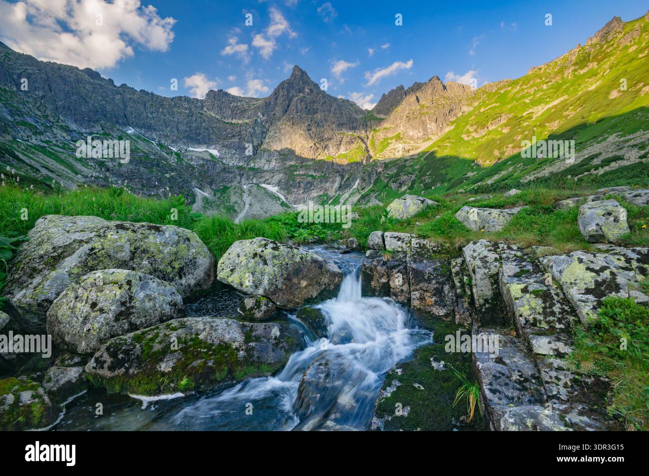 Zabie javorove pleso hi-res stock photography and images - Alamy