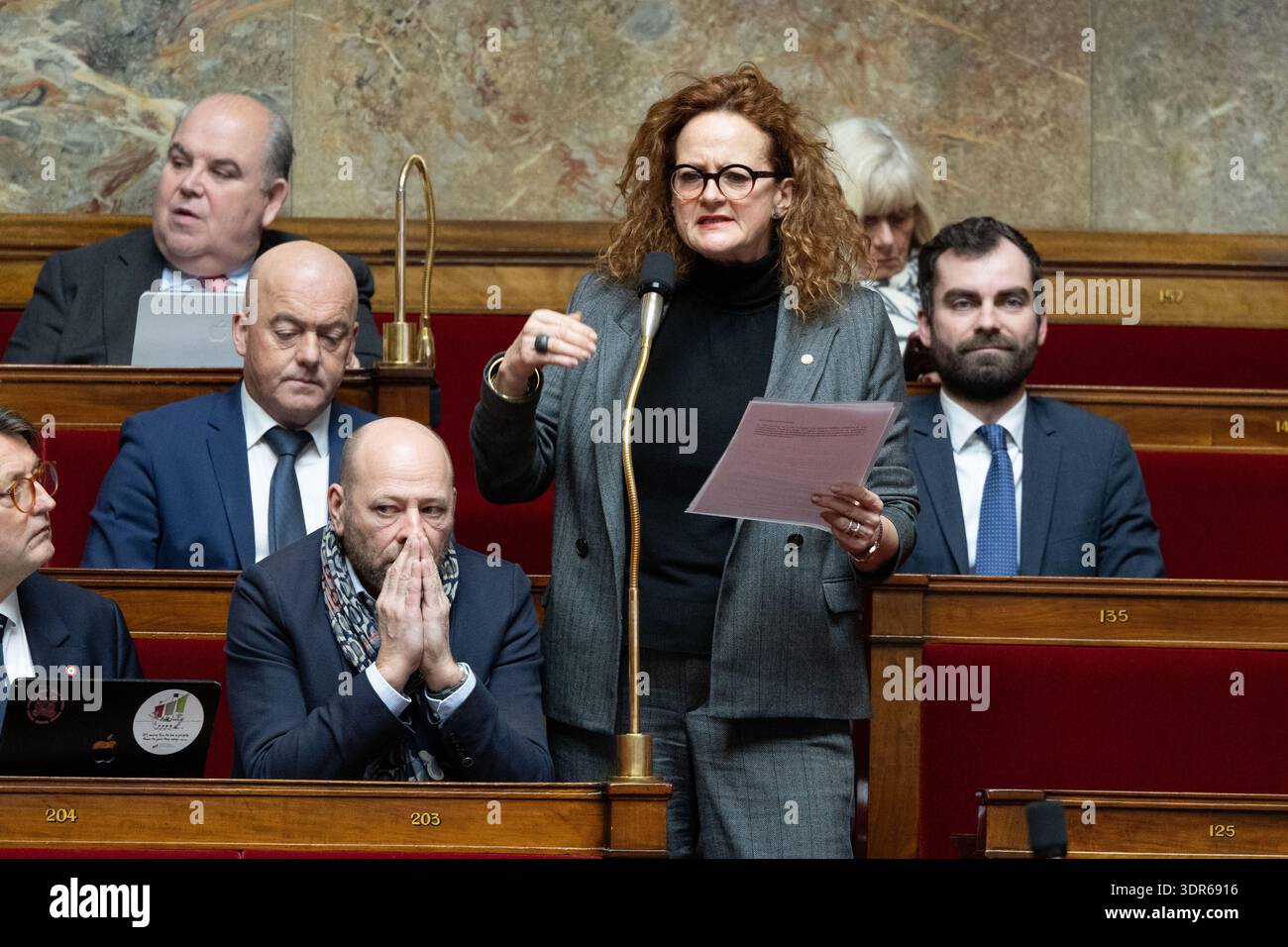 MP Anne-Cecile Violland attends a session of questions to the ...