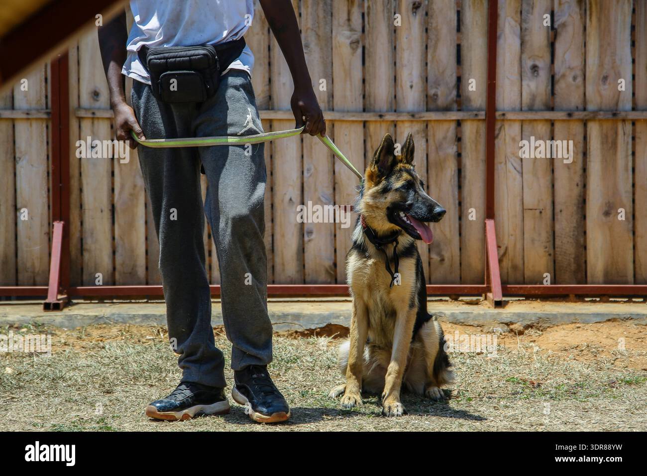 RWANDA, KIGALI. Kigali's leading centre for training dogs at Kimironko ...