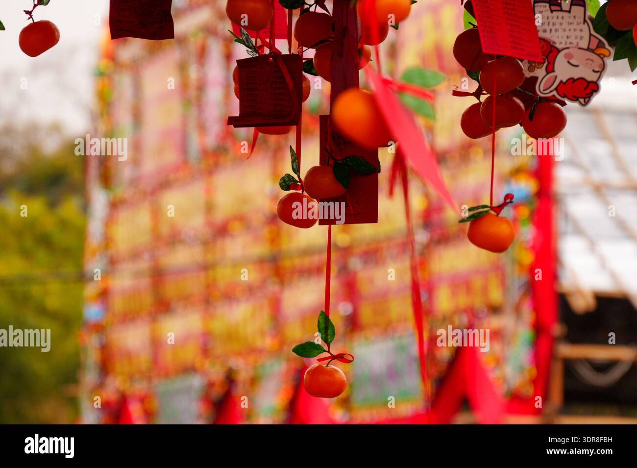 View of Lam Tsuen Wishing Tree on February 17, 2026 in Tai Po, New ...
