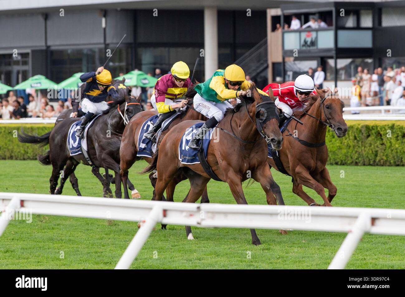 Sydney,Australia. 14 February, 2026. Jamberoo in the Wellington Racing ...