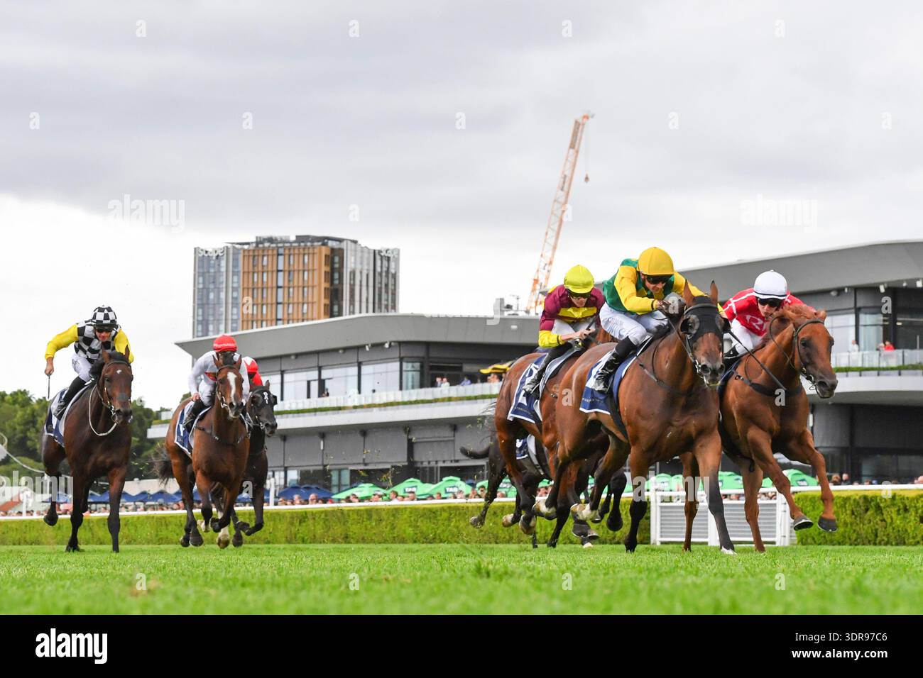 Sydney,Australia. 14 February, 2026. Jamberoo in the Wellington Racing ...