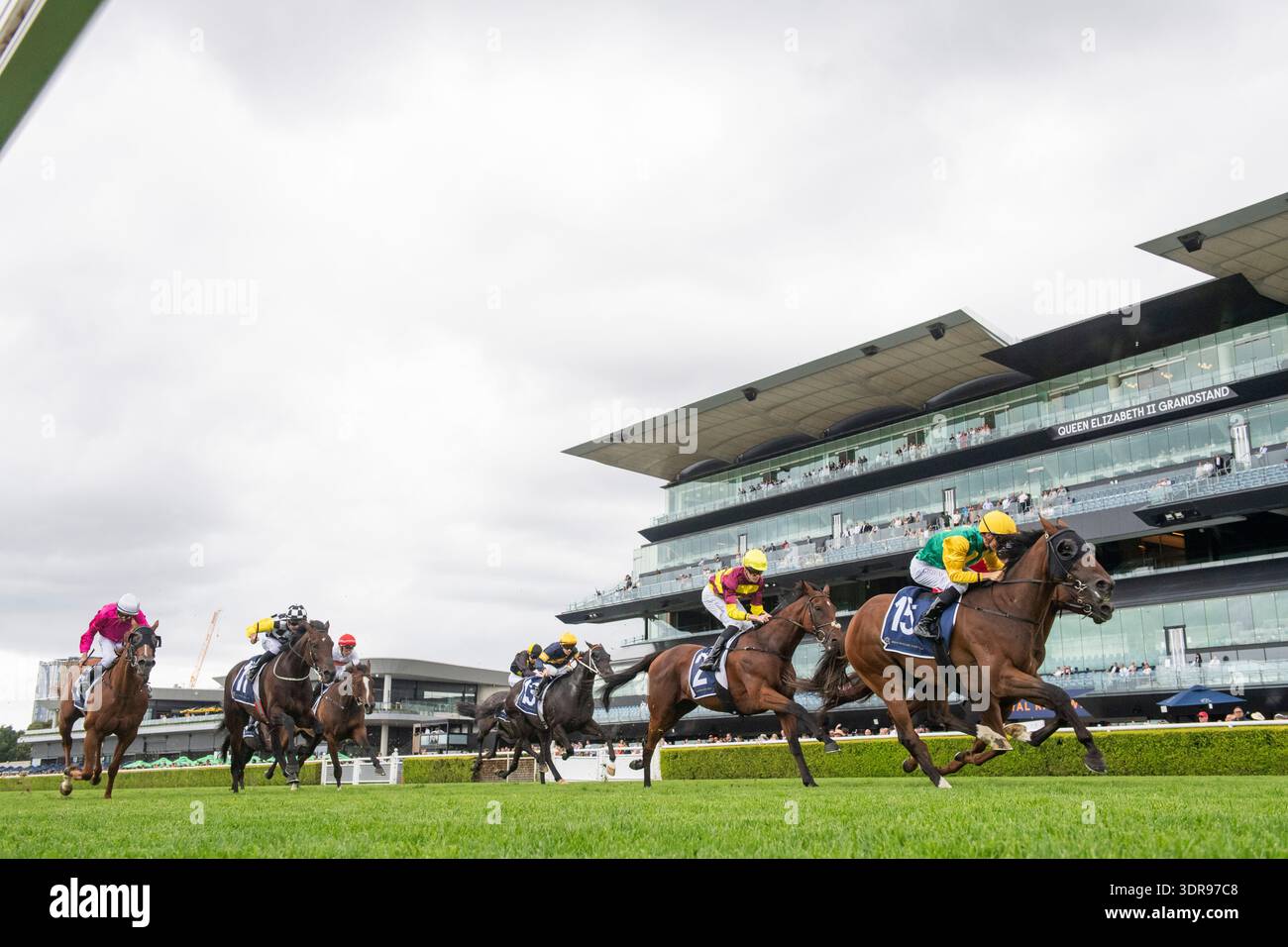 Sydney,Australia. 14 February, 2026. Jamberoo in the Wellington Racing ...
