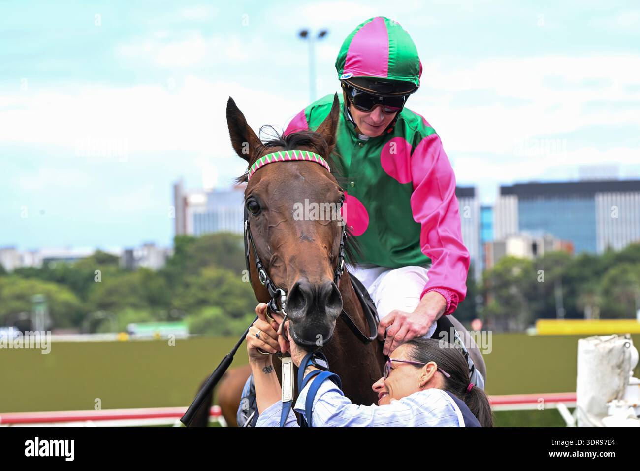Sydney,Australia. 14 February, 2026. Mal Coupe in the Midway Handicap ...