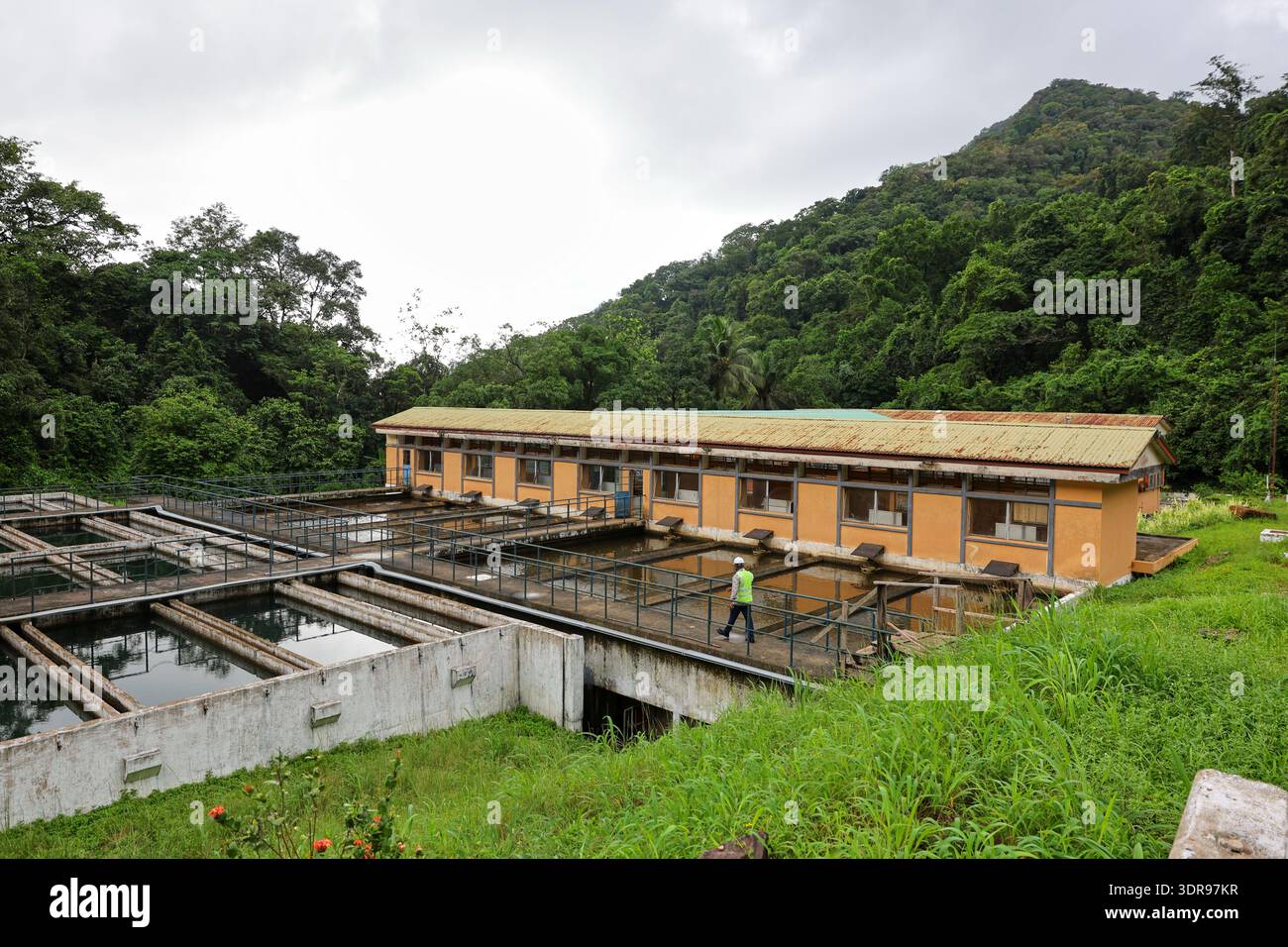 Maada Kpenge, managing director of Guma Valley water company, walks ...