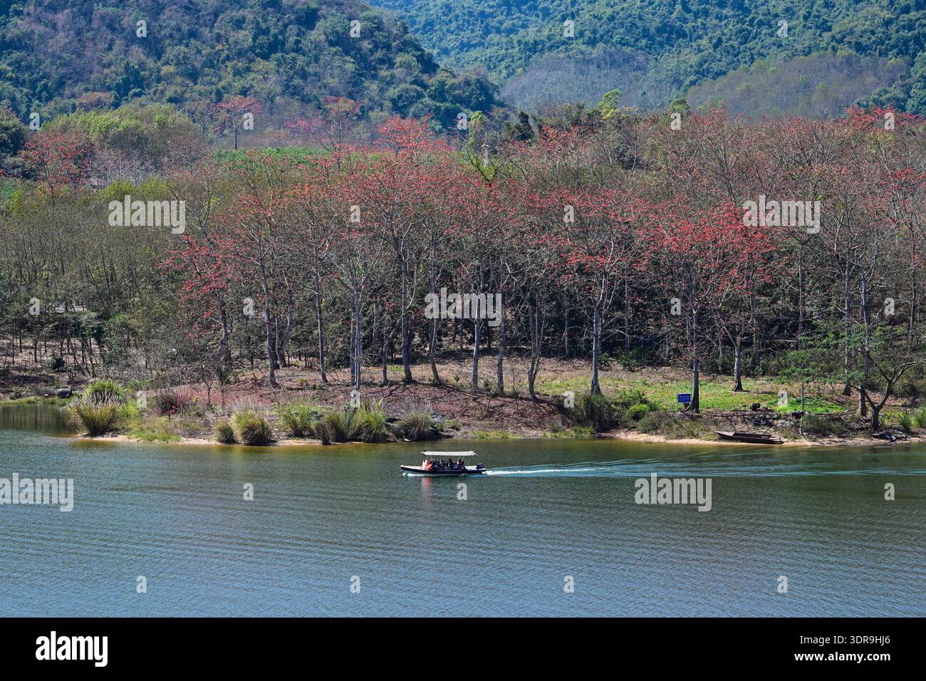 (260218) -- CHANGJIANG, Feb. 18, 2026 (Xinhua) -- Visitors take a boat ...