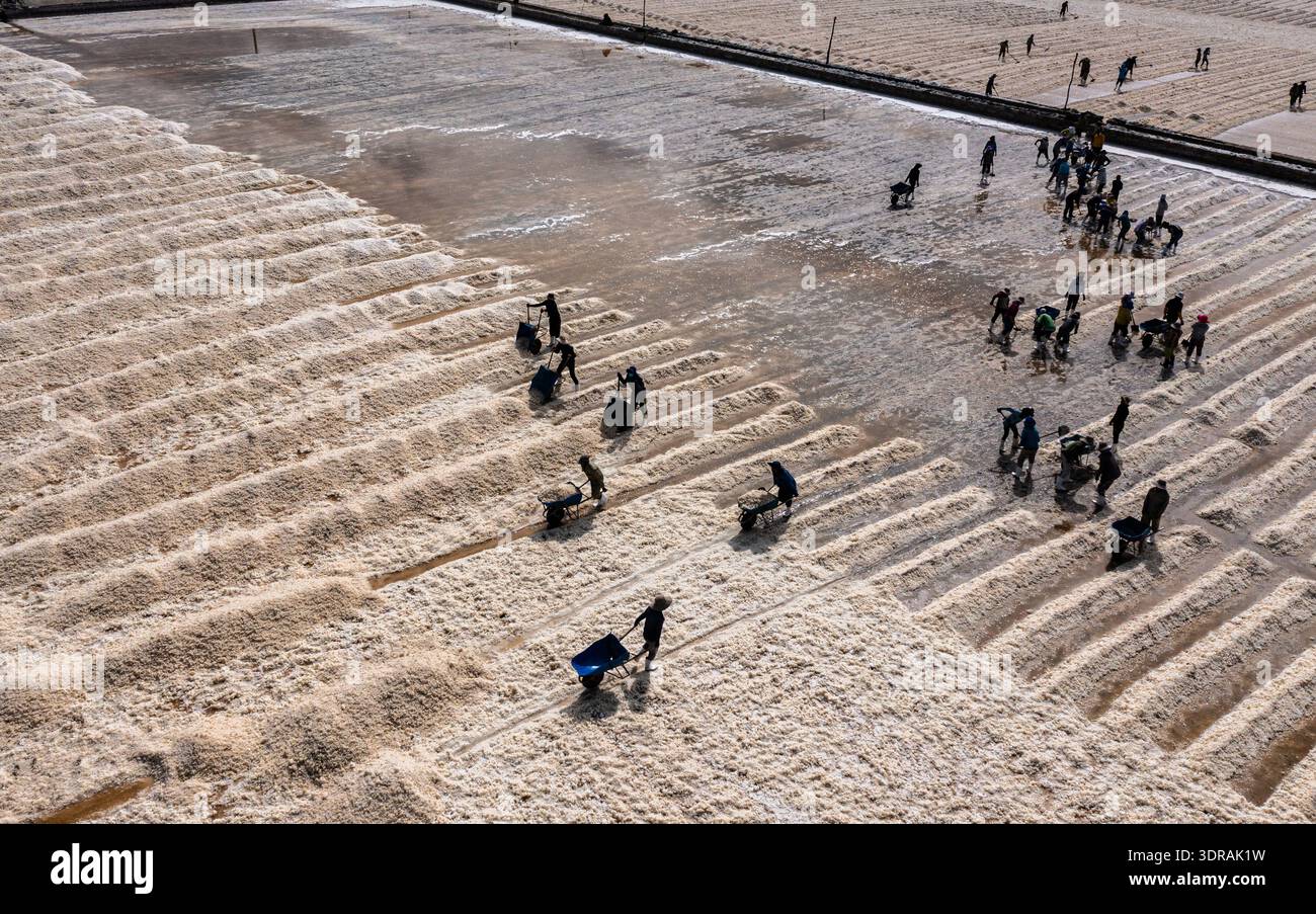 Salt making from sea water in Vietnam is completely handmade ...