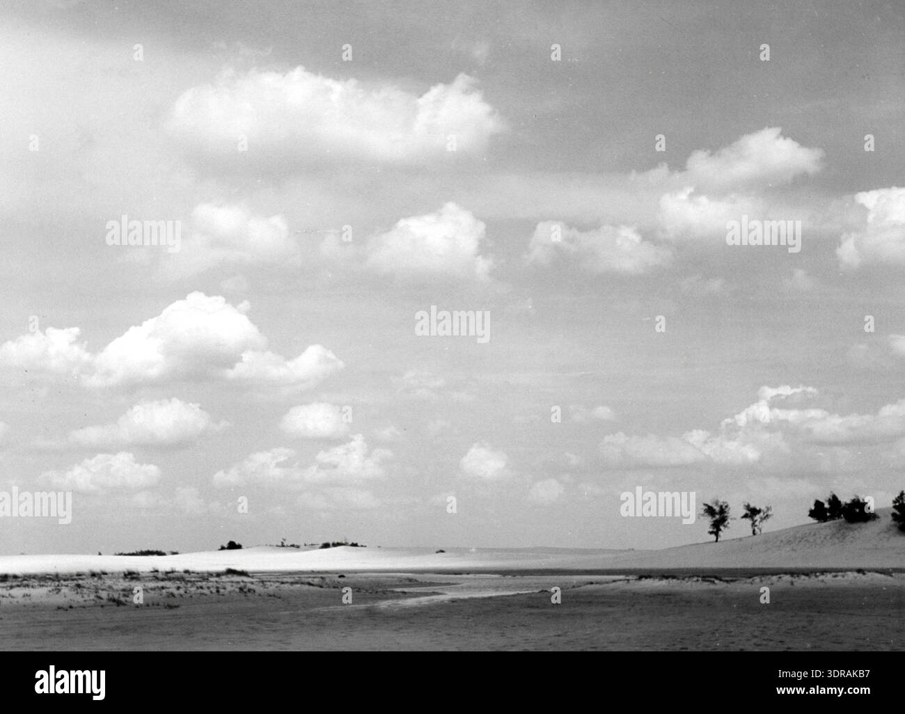 Netherlands the scene depicts dune ridges hi-res stock photography and ...