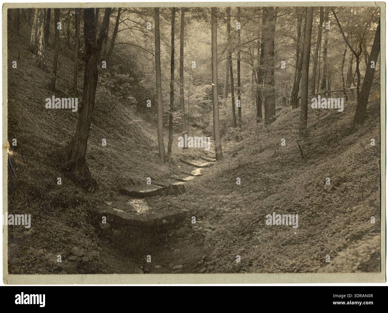 Germany the image includes former stream beds hi-res stock photography ...