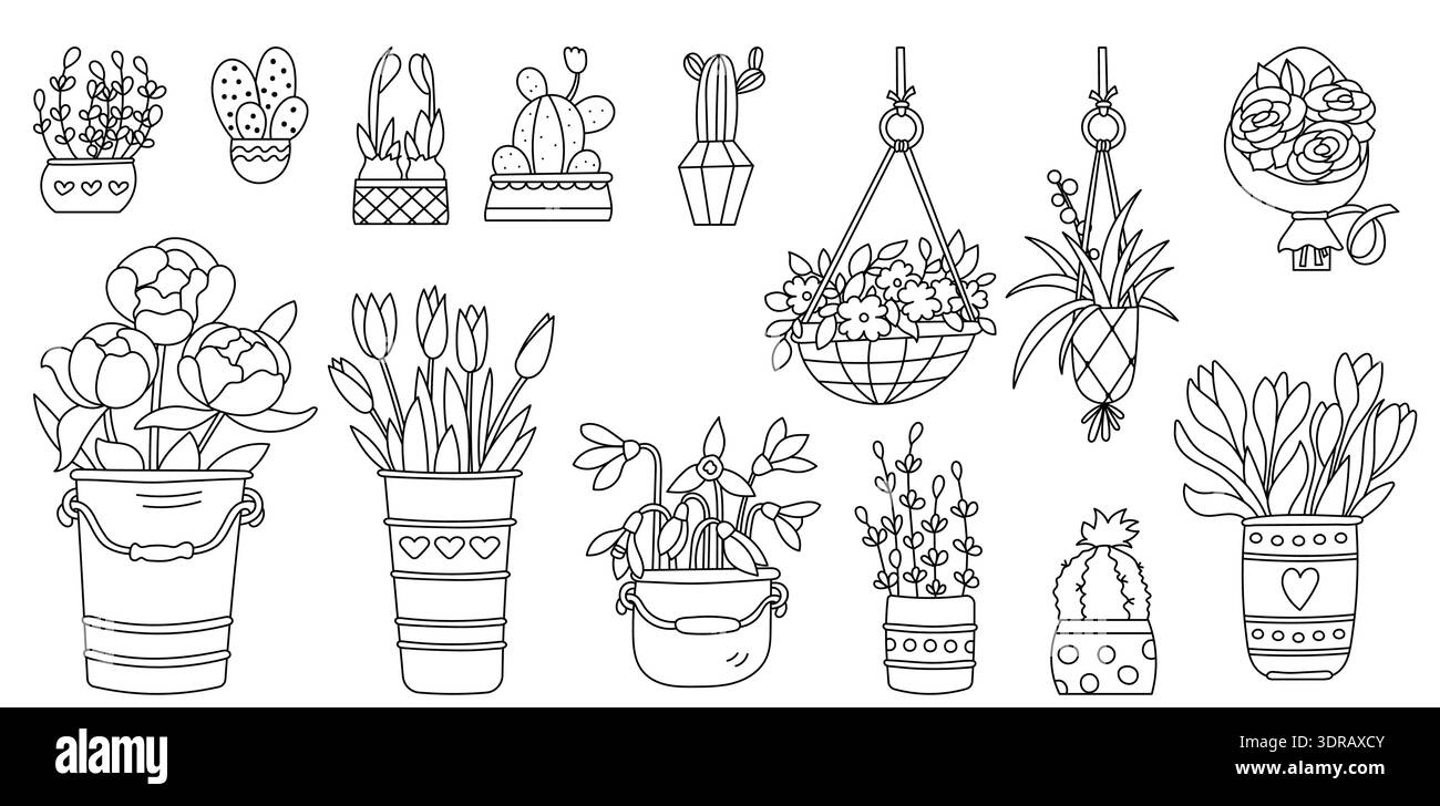 Set Of Indoor Plants And Flowers And A Coloring Page For Children And ...