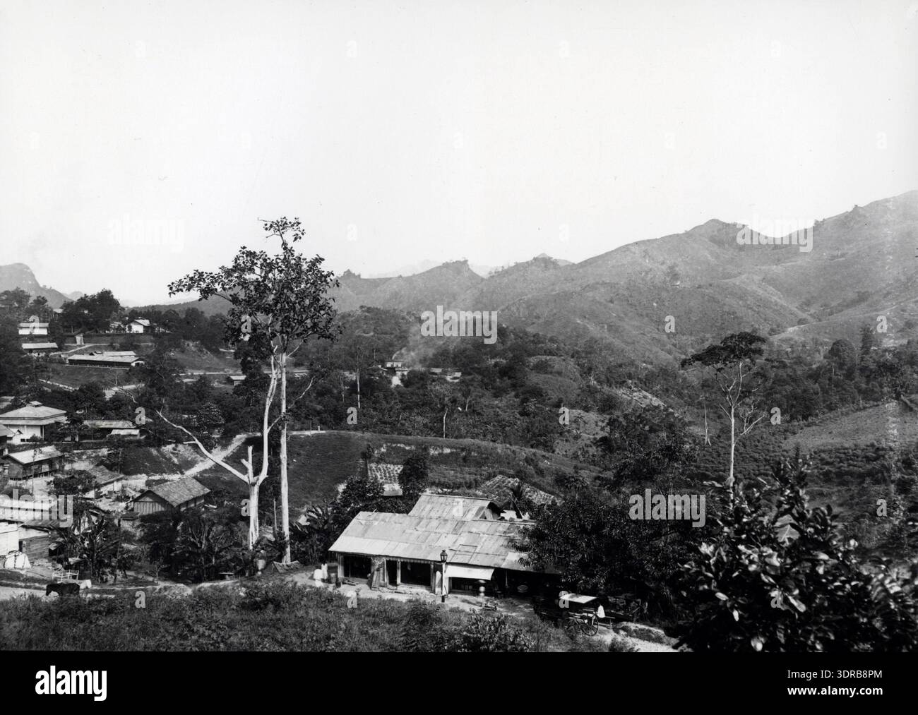 This photograph depicts the Oembielin coal mine in Doerian, Sumatra ...