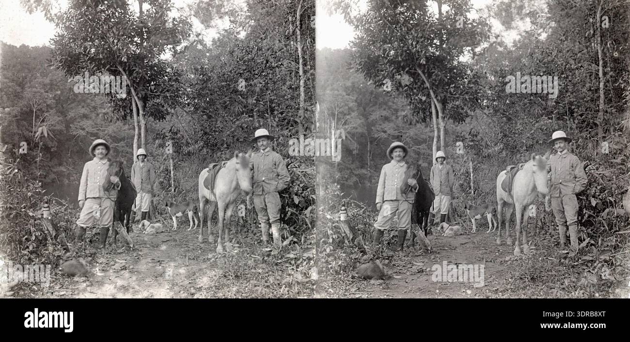 Vietnam horses and dogs accompany the group hi-res stock photography ...