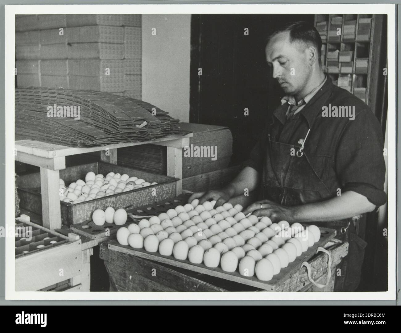 Showing careful handling of eggs hi-res stock photography and images ...