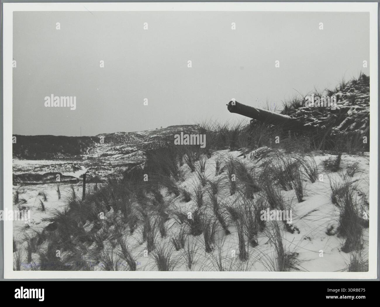 The photograph shows the muzzle of a coastal artillery gun protruding ...