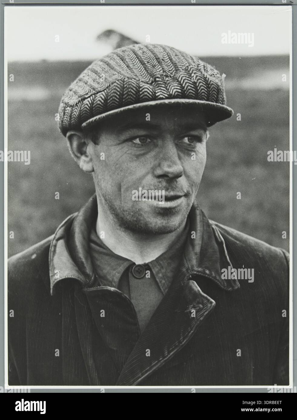 In 1938 the worker is engaged in peat extraction hi-res stock ...