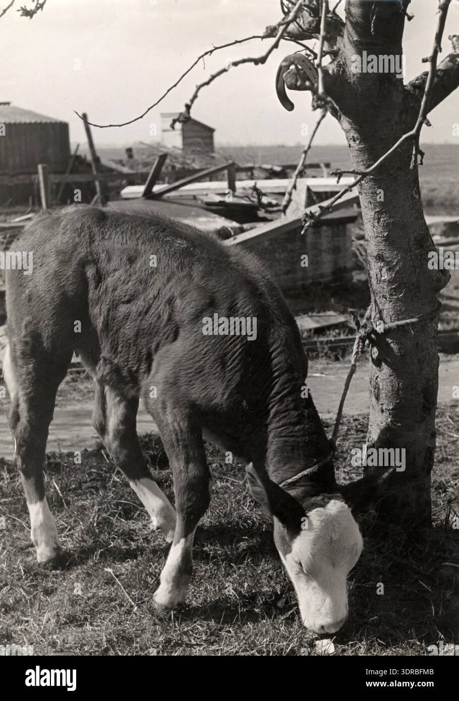 Image depicts rural dirt hi-res stock photography and images - Alamy