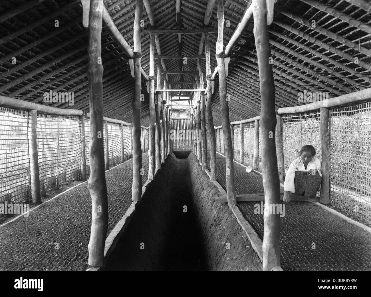 Dutch agricultural techniques Black and White Stock Photos & Images - Alamy