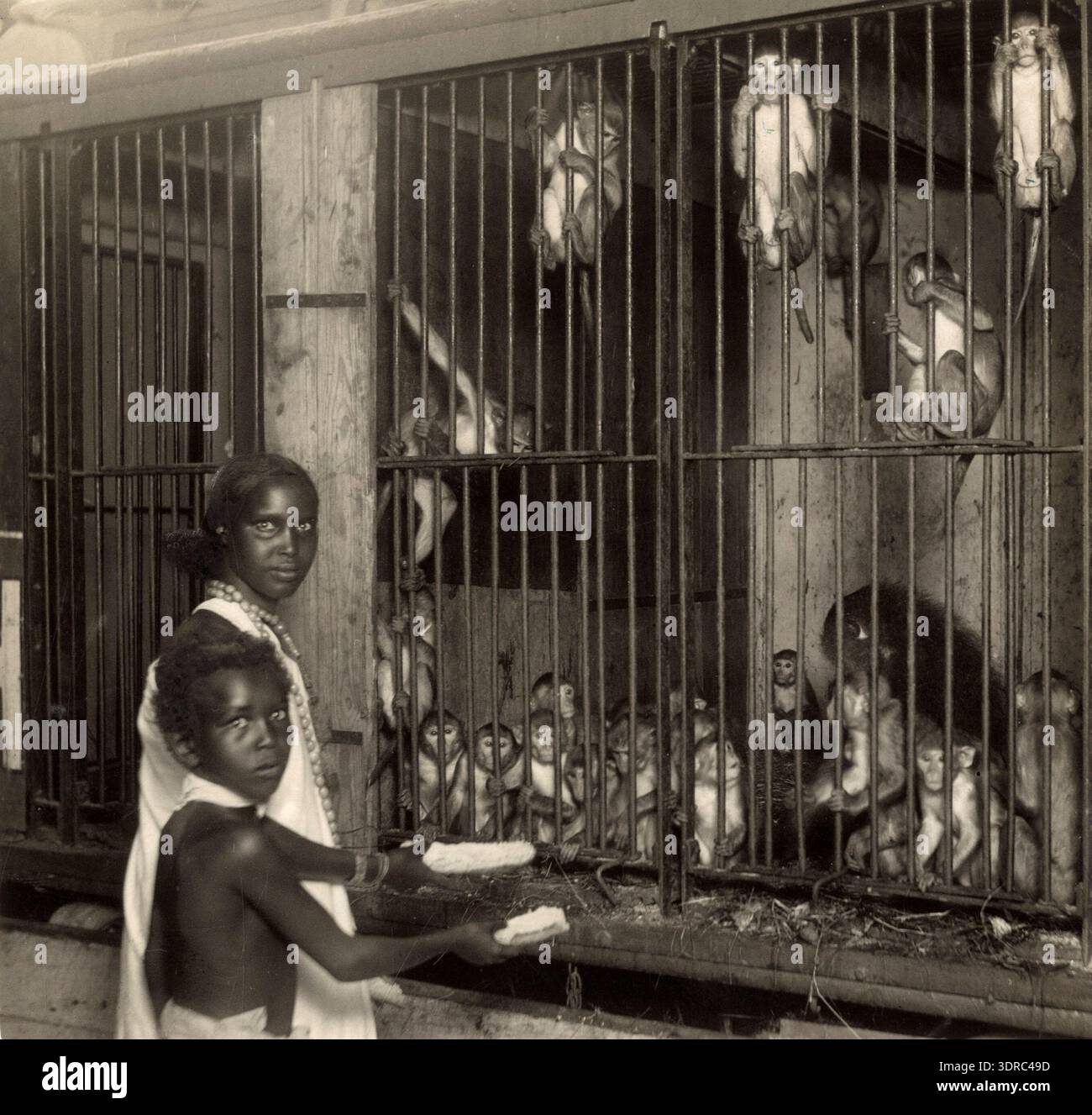 Netherlands the image illustrates early 20th century dutch circus life ...