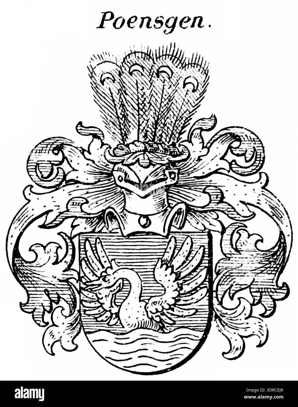 This 1925 heraldic illustration depicts the poensgen family coat hi-res ...