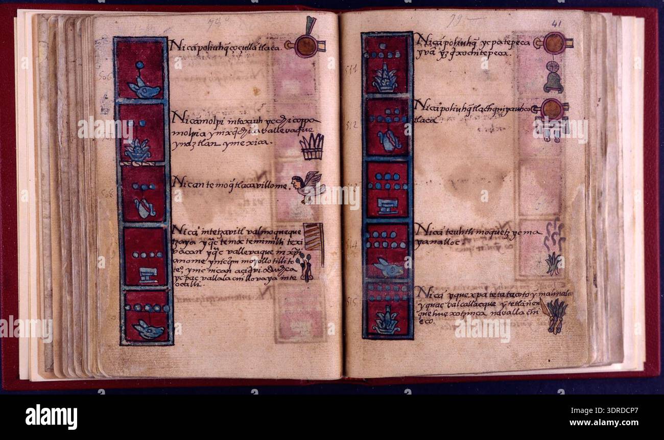 The 1576 Codex Aubin includes eighty-one leaves of European paper bound ...