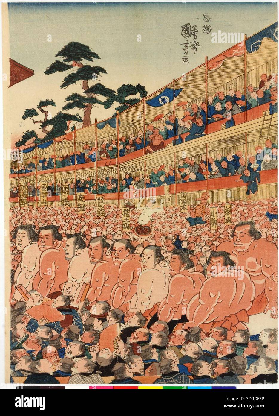 The ceremonial and cultural aspects of sumo hi-res stock photography ...