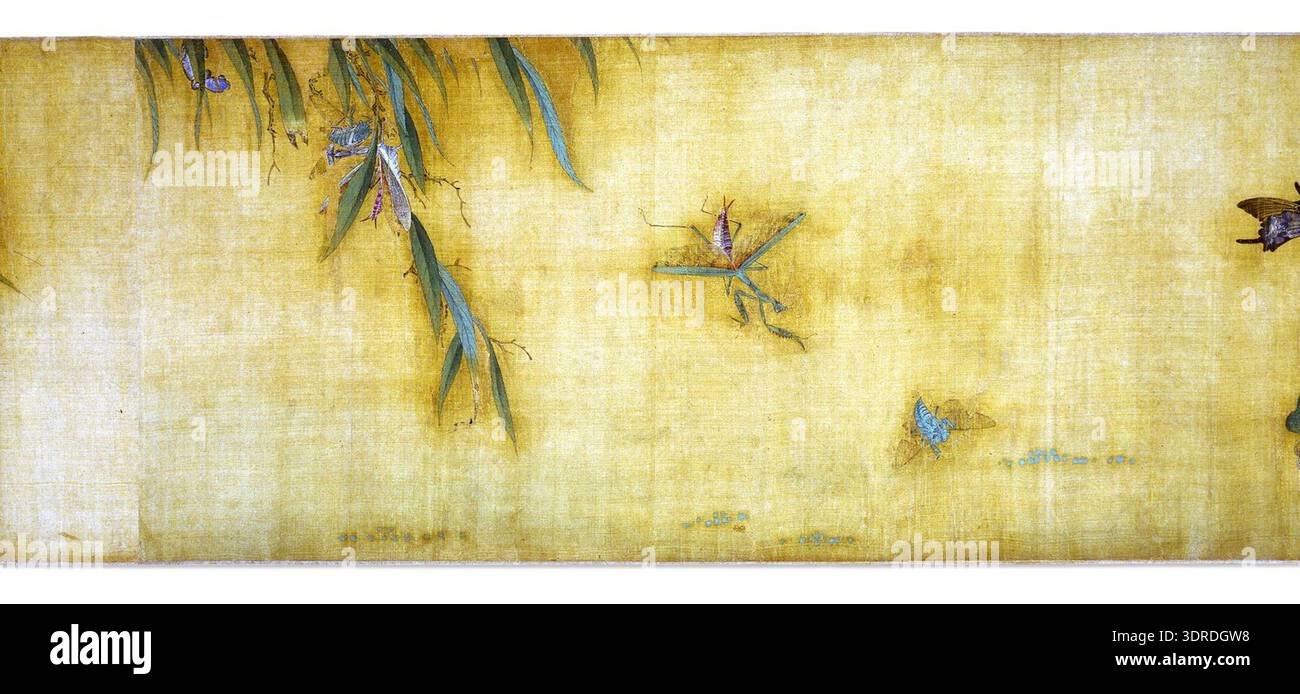 Traditional visual documentation of flora and fauna hi-res stock ...